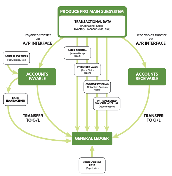 The conceptual framework